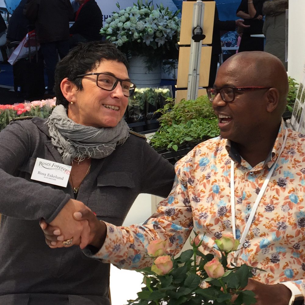 Rosa Loves Me Tender and With Heart and Soul – Roses Forever